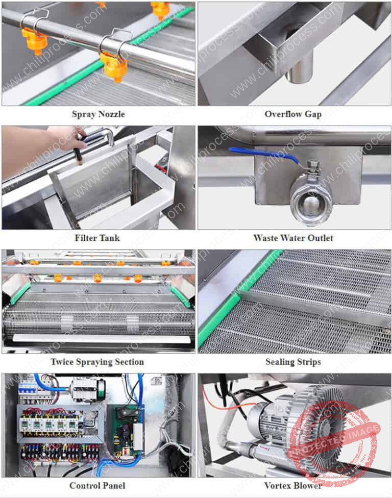 Air Bubble Type Chili Pepper Water Washing Machine - Chili Processing ...