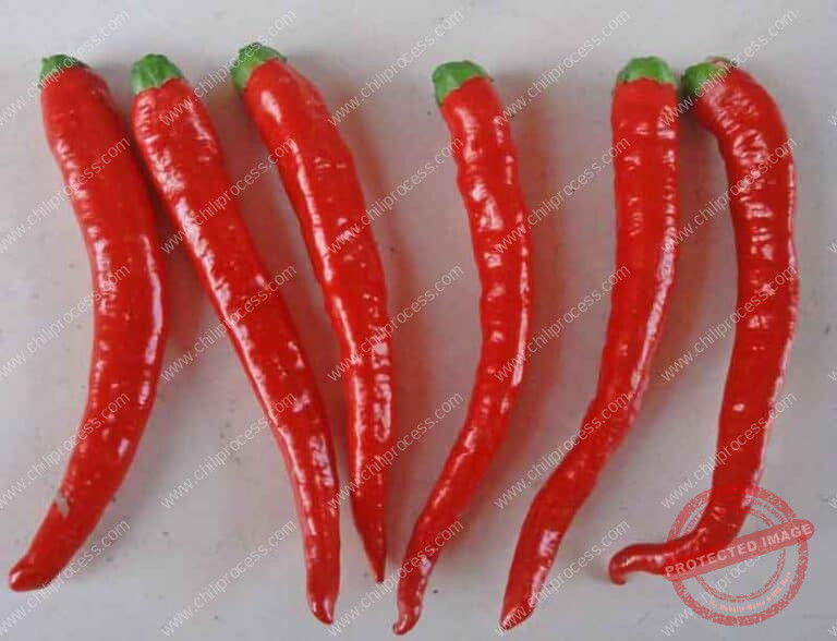 Stainless Steel Chili Pepper Stem Cutting Machine - Chili Processing ...
