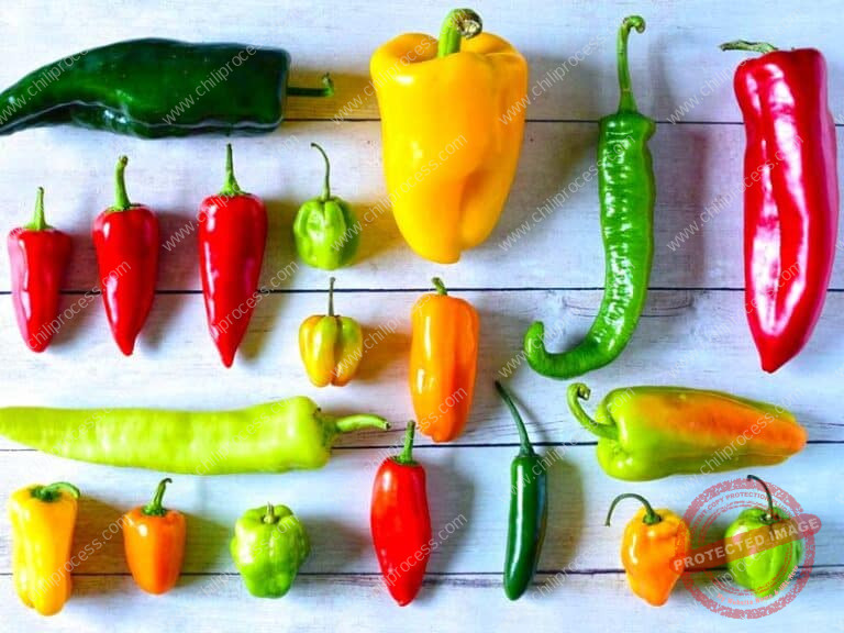 Various Chili Pepper Type Introduction - Chili Processing Machine ...