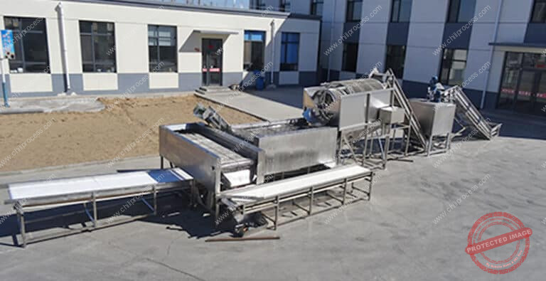 Automatic Bell Pepper Core and Seeds Separating Machine - Chili ...